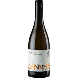 Weingut Danner Danner 2016 Philia Freude ERLEBNISWEIN! trocken