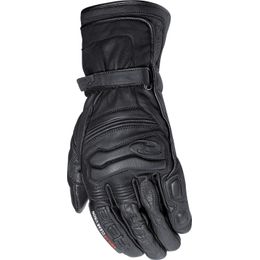 Held Fresco II, Handschuhe