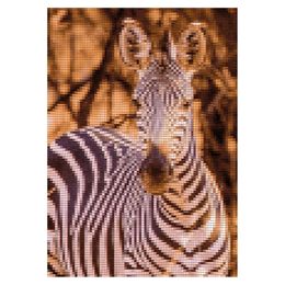 buttinette Diamantenstickerei-Set "Zebra", 24 x 34 cm