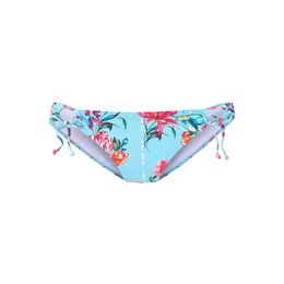 Sunseeker Bikini Bottoms female Blue size 34