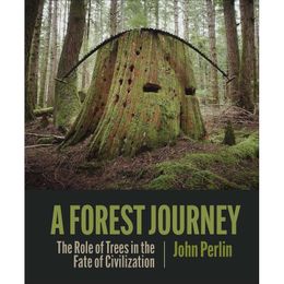 A Forest Journey - John Perlin, Gebunden