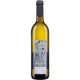 Weingut Wolf Edition CATO Chardonnay 2024 Trocken - Pfalz &ndash; Wei&szlig;wein Qualit&auml;tswein