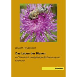 Das Leben der Bienen - Heinrich Freudenstein, Kartoniert (TB)
