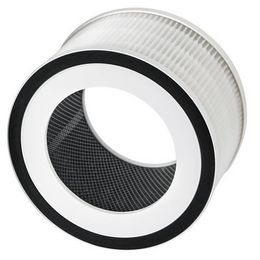 Blaupunkt BAP-FL-H0809-A29C Ersatz-Filter