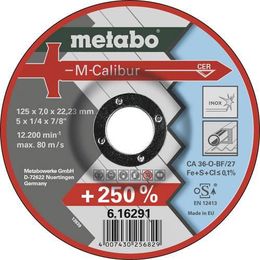 Metabo 624277000 F-ZK Lamellenschleifscheibe Durchmesser 125 mm Bohrungs-Ø 22.23 mm 10 St.