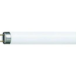 Philips Leuchtstoffröhre EEK: G (A - G) G13 18 W Tageslichtweiß Röhrenform (Ø x L) 26 mm x 600 mm 10 St.