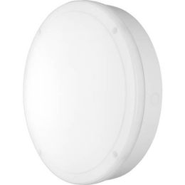 LEDVANCE Surface Bulkhead 82693 LE LED-Außendeckenleuchte, LED-Außenwandleuchte 15 W Weiß