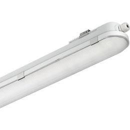 Philips Lighting CoreLine WT120C LED-Feuchtraumleuchte LED LED fest eingebaut 41 W Neutralweiß Grau