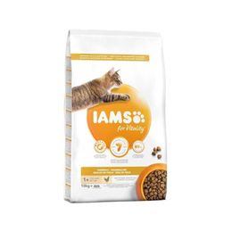 IAMS CAT Vitality Adult cat - Hairball 10kg