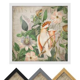 Bilderwelten Bild mit Rahmen Blumen rosa Vintage inkl. Rahmung - Colonial Style Collage - Rosa Kakadu - Retro Wohnzimmer Schlafzimmer