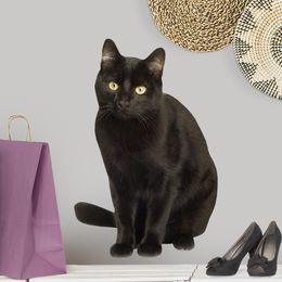 Wandtattoos Schwarzer Kater - Wandsticker, Wandaufkleber Tiere Schlafzimmer Wohnzimmer Flur Esszimmer