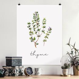 Poster Kräuter Illustration Thymian
