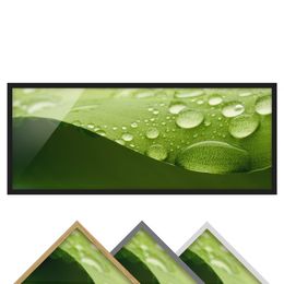 Blumen Bild mit Rahmen Drops of Nature