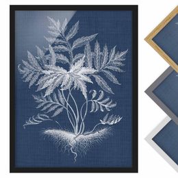 Bilderwelten Bild mit Rahmen Blumen blau Tropisch inkl. Rahmung - Denim Pflanzenstudie IV - Pflanzen Wohnzimmer Schlafzimmer