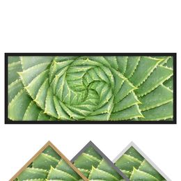 Blumen Bild mit Rahmen Spiral Aloe