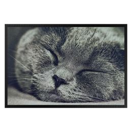 Fußmatte Schlafende Katze