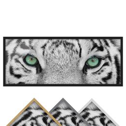 Bilderwelten Bild mit Rahmen Tiere schwarz weiss Motiv inkl. Rahmung - Wei&szlig;er Tiger - Tiger Wohnzimmer Schlafzimmer
