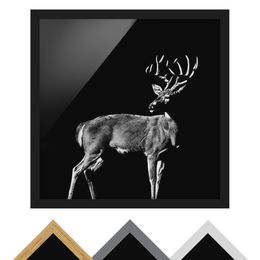 Bilderwelten Bild mit Rahmen Tiere schwarz weiss Motiv inkl. Rahmung - Hirsch vor Schwarz - Hirsch Wohnzimmer Schlafzimmer