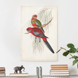 Glasbild Tiere Tropische Papageien III