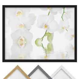 Blumen Bild mit Rahmen Wellness Orchidee Wei&szlig;e Orchidee