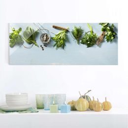 Glasbild Küche Gebündelte Kräuter