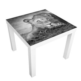 Möbelfolie für IKEA Lack Lurking Lionbaby