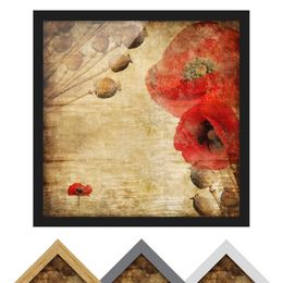 Bilderwelten Bild mit Rahmen Blumen rot Vintage inkl. Rahmung - Poppy Flower - Mohn Wohnzimmer Schlafzimmer