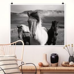 Bilderwelten Poster Tiere schwarz weiss Motiv matt gl&auml;nzend selbstklebend - Wildpferde Schwarz-Wei&szlig; - Pferde Wohnzimmer Schlafzimmer