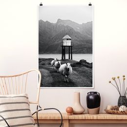 Bilderwelten Poster Tiere schwarz weiss Motiv matt gl&auml;nzend selbstklebend - Drei Schafe auf den Lofoten - Wohnzimmer Schlafzimmer