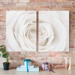 2-teiliges Leinwandbild Blumen Pretty White Rose