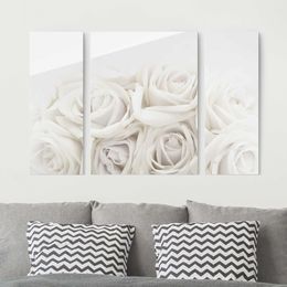 3-teiliges Glasbild Weiße Rosen