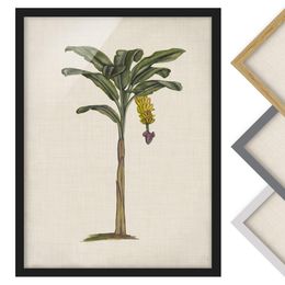 Blumen Bild mit Rahmen Britische Palmen III