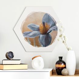 Bilderwelten Alu-Dibond Bild Hexagon Blumen beige Fotomontage Aquarell - Wasserfarben - Kuhschelle in Blau - Deko Wohnzimmer Schlafzimmer