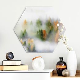 Bilderwelten Hexagon-Wandbild - Nebelwald im Herbst Alu-Dibond Kunstdruck B&auml;ume & W&auml;lder Wohnzimmer Schlafzimmer