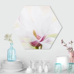 Bilderwelten Hexagon-Wandbild - Zarte Magnolienbl&uuml;te Alu-Dibond Kunstdruck Blumen & Florales Wohnzimmer Schlafzimmer