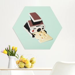 Hexagon-Forexbild Kamera mit Käse