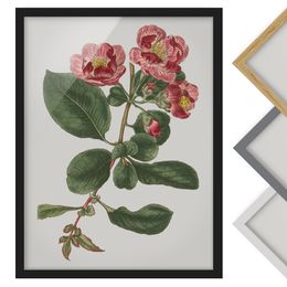 Blumen Bild mit Rahmen Florale Schmuckst&uuml;cke I