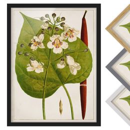 Blumen Bild mit Rahmen Tableau Blatt Bl&uuml;te Frucht V
