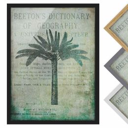 Bild mit Rahmen Vintage Collage Antike Palme