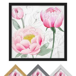 Bilderwelten Bild mit Rahmen Blumen rosa modern Aquarell - Zeichnung Rosa P&auml;onien II - Rose Wohnzimmer Schlafzimmer