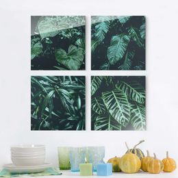 4-teiliges Glasbild Tropische Pflanzen