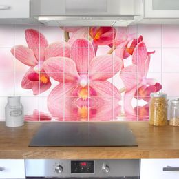 Fliesenbild Floral Rosa Orchideen auf Wasser