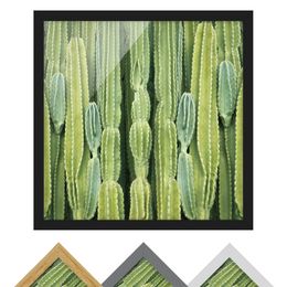 Bilderwelten Bild mit Rahmen Blumen gr&uuml;n Tropisch inkl. Rahmung - Kaktus Wand - Gr&auml;ser Wohnzimmer Schlafzimmer