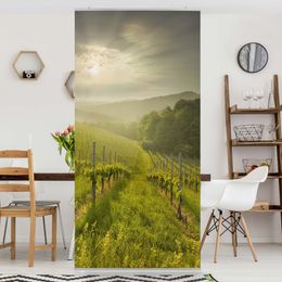 Raumteiler Sonnenstrahlen Weinberg