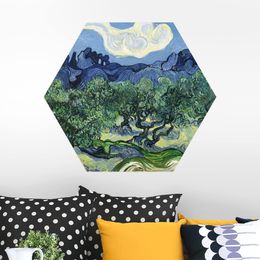 Hexagon-Alu-Dibond Bild Vincent van Gogh - Olivenbäume