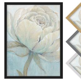 Blumen Bild mit Rahmen Englische Rose Pastell