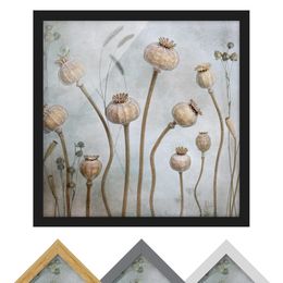 Bild mit Rahmen Getrockneter Mohn
