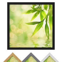 Blumen Bild mit Rahmen Green Ambiance I