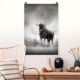 Poster Tiere Staring Wildebeest