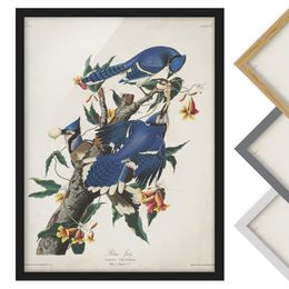 Bild mit Rahmen Vintage Lehrtafel Blauer H&auml;her